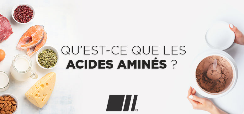 Qu'est-ce que les acides aminés